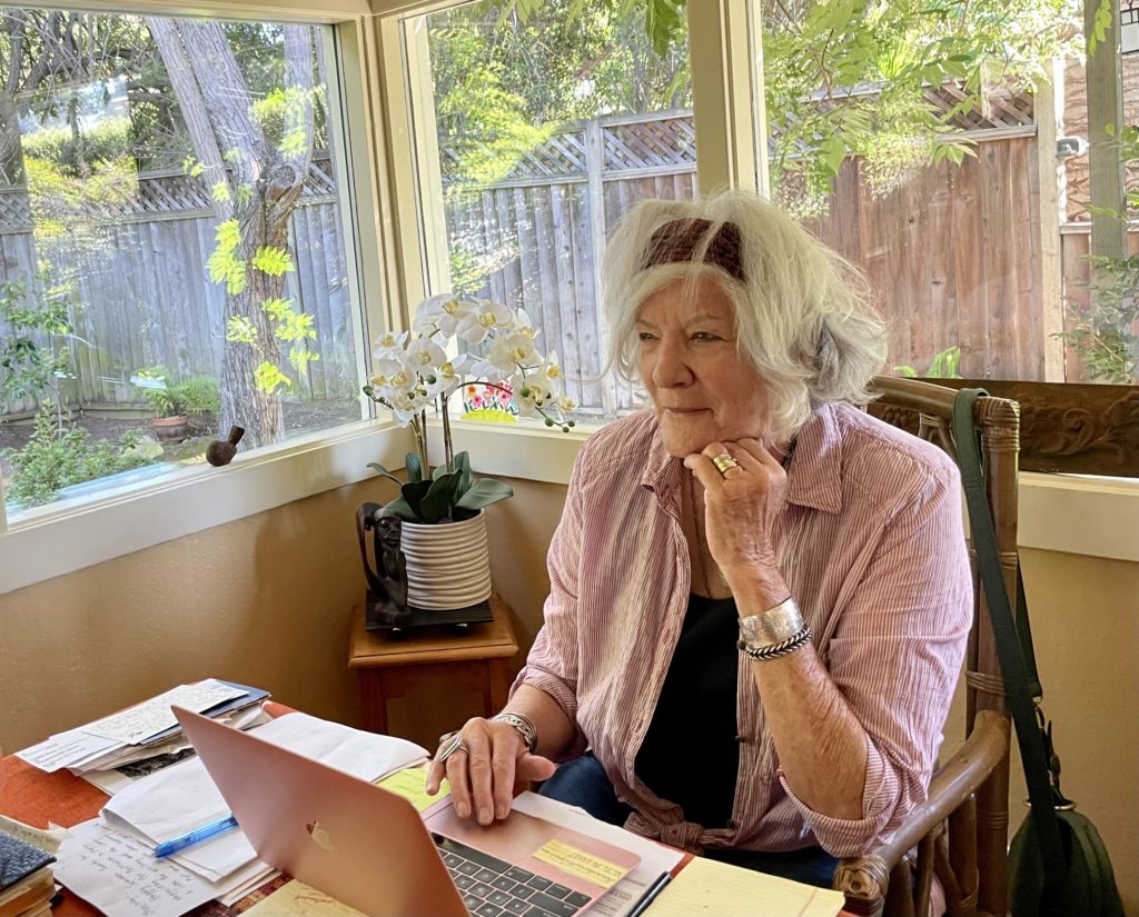 Kathleen Canrinus, author – Whirligig